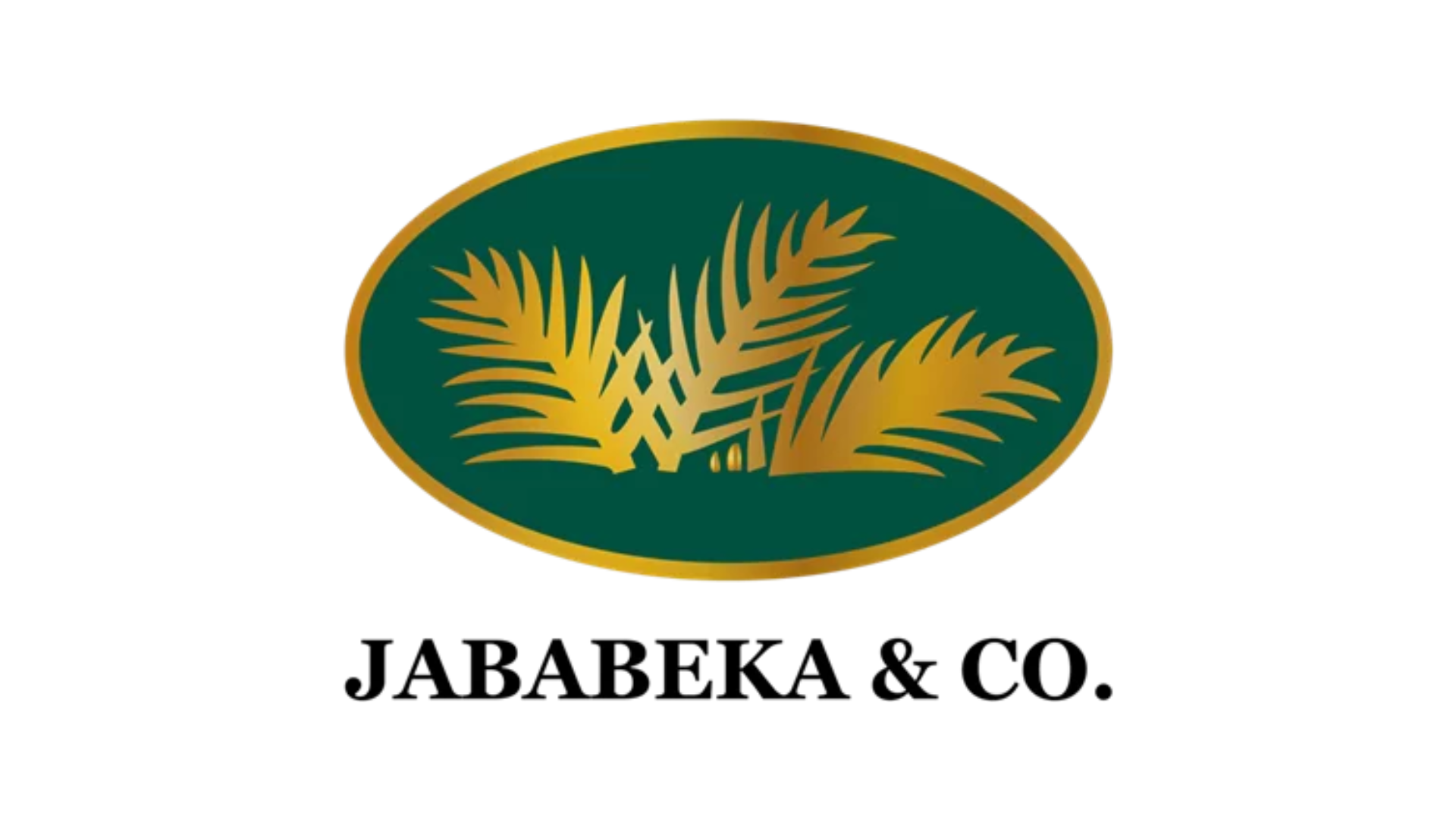 Indogen Capital - Founder's Best Partner in Indonesia